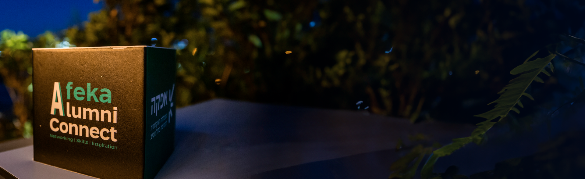 Afeka Alumni Connect: אהבה וזוגיות בימי מלחמה - יעל דורון